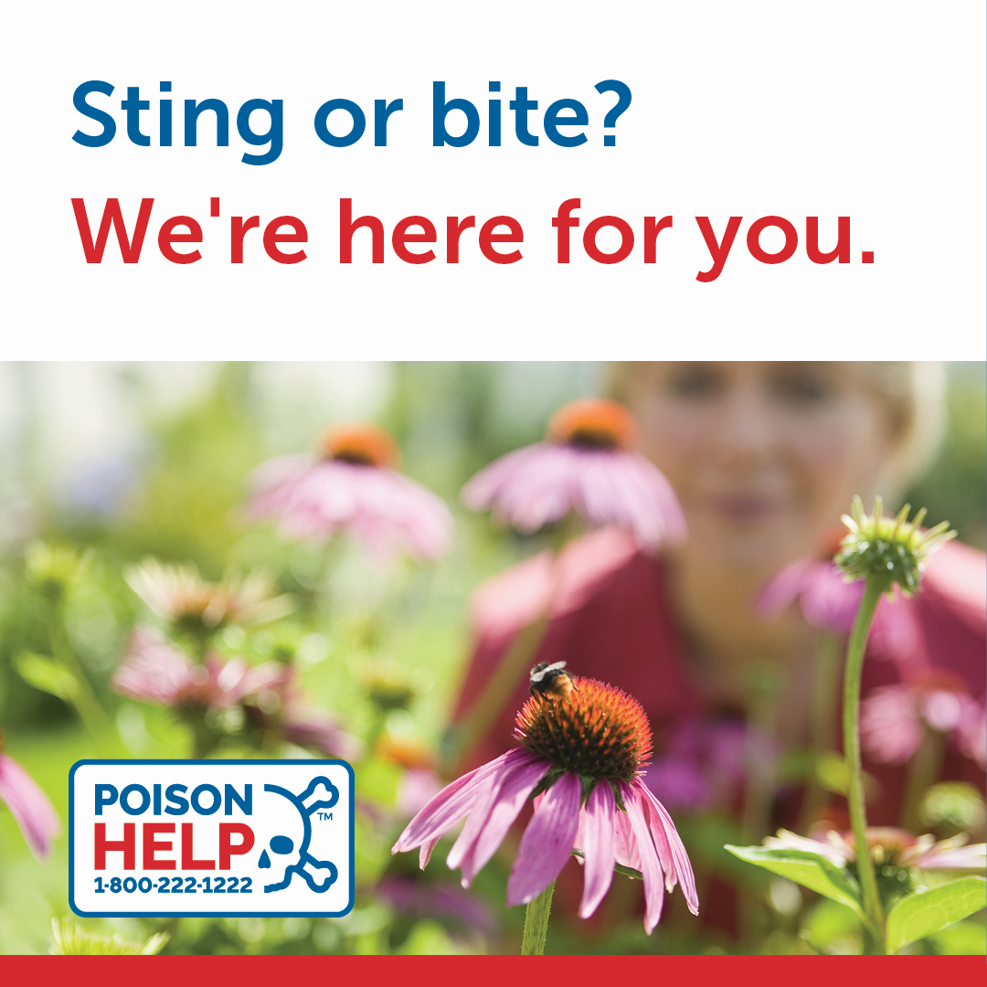 National Poison Prevention Week | Georgia Poison Center | Georgia ...