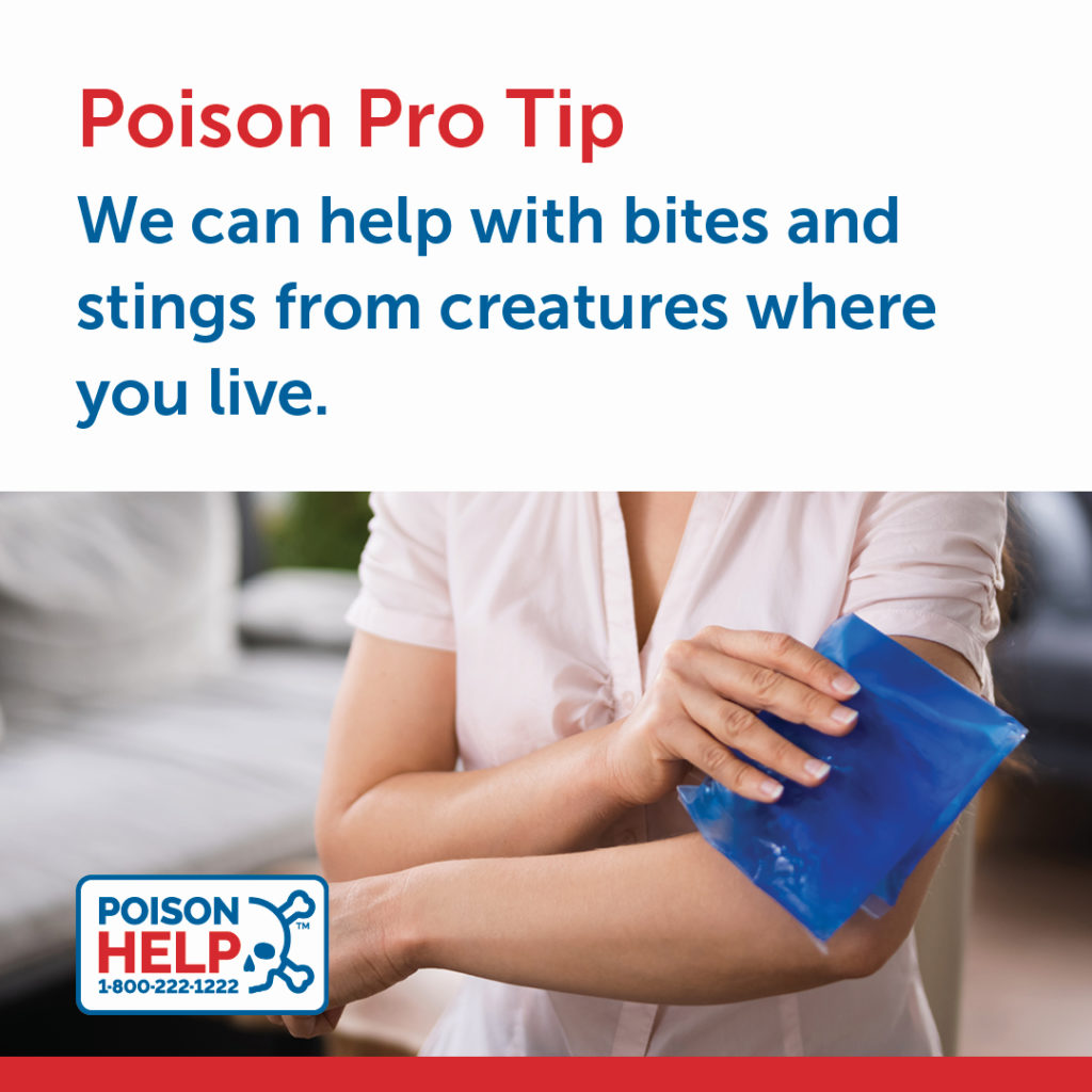 National Poison Prevention Week | Georgia Poison Center | Georgia ...