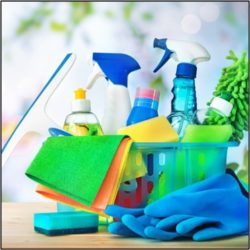 Safe Spring Cleaning | Georgia Poison Center