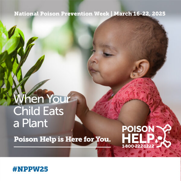 National Poison Prevention Week | Georgia Poison Center | Georgia ...