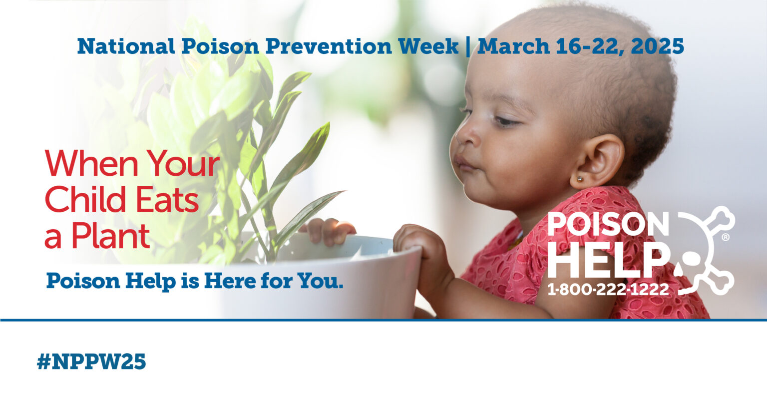 National Poison Prevention Week | Georgia Poison Center | Georgia ...